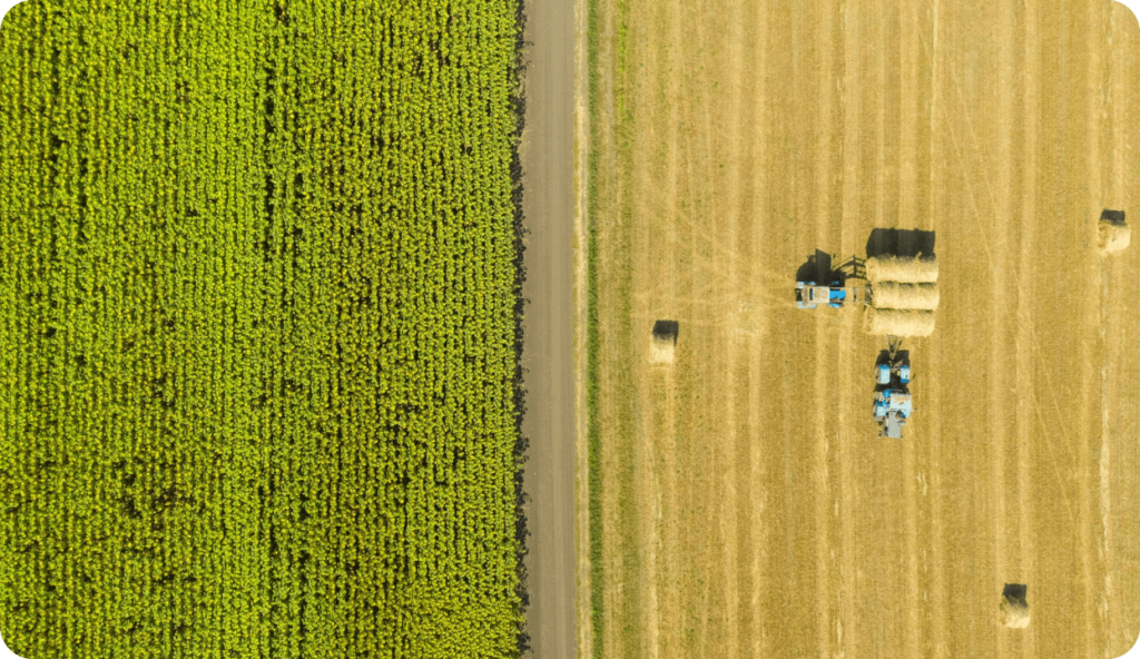 How To Test UN-Rated Bulk Bags | Codefine International