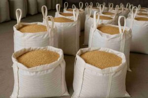 Grain Storage Guide: How to Store Wheat, Corn & Quinoa